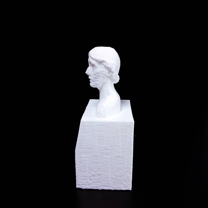 3D Printable Virginia Woolf by Scan The World