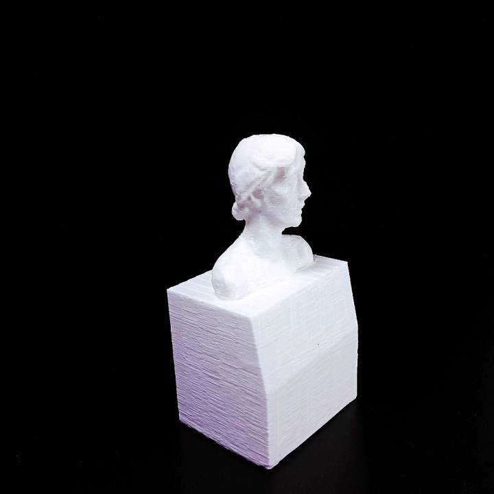 3D Printable Virginia Woolf by Scan The World