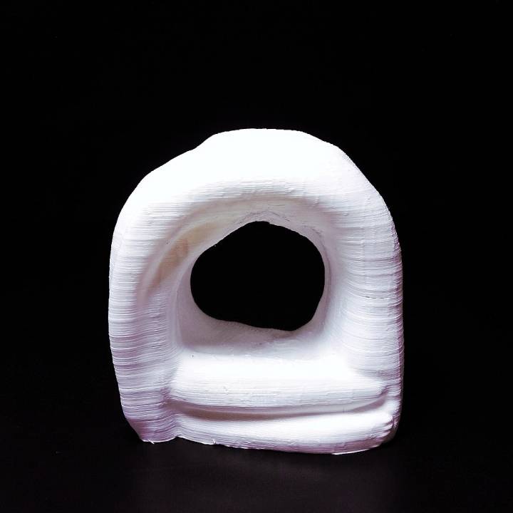 3D Printable The Springlet by Scan The World