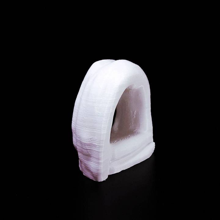 3D Printable The Springlet by Scan The World