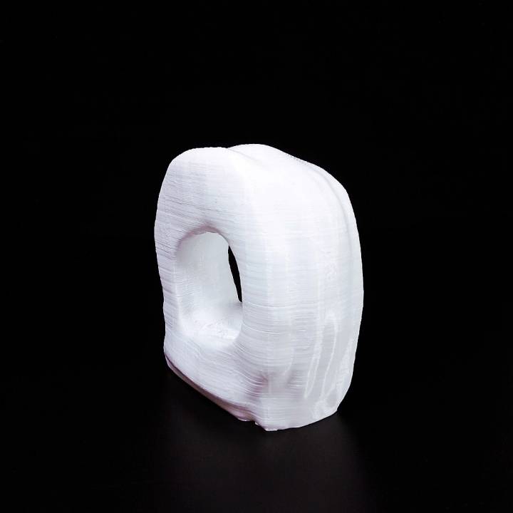 3D Printable The Springlet by Scan The World