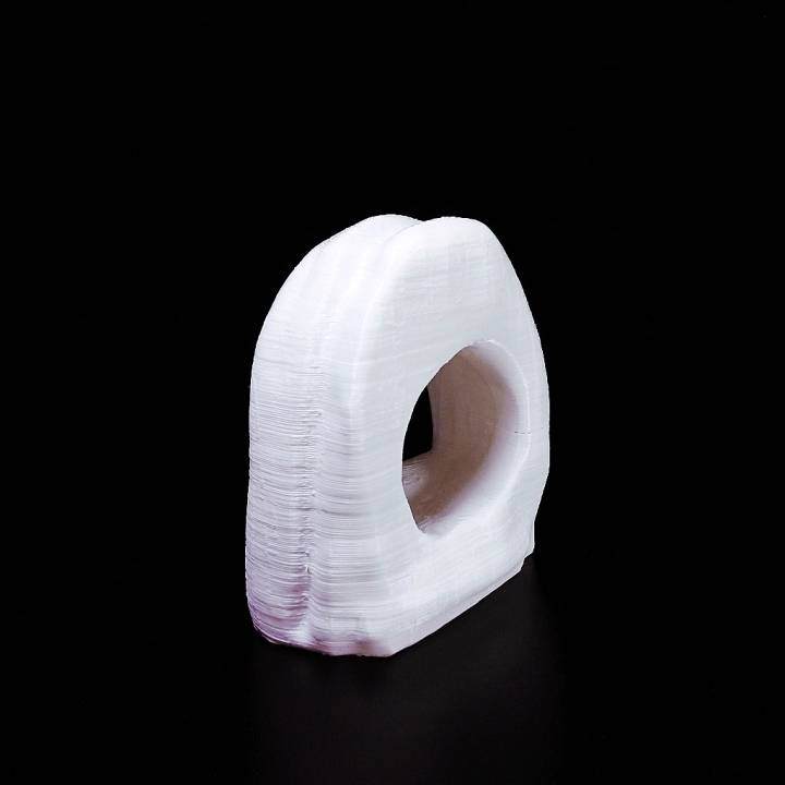 3D Printable The Springlet by Scan The World