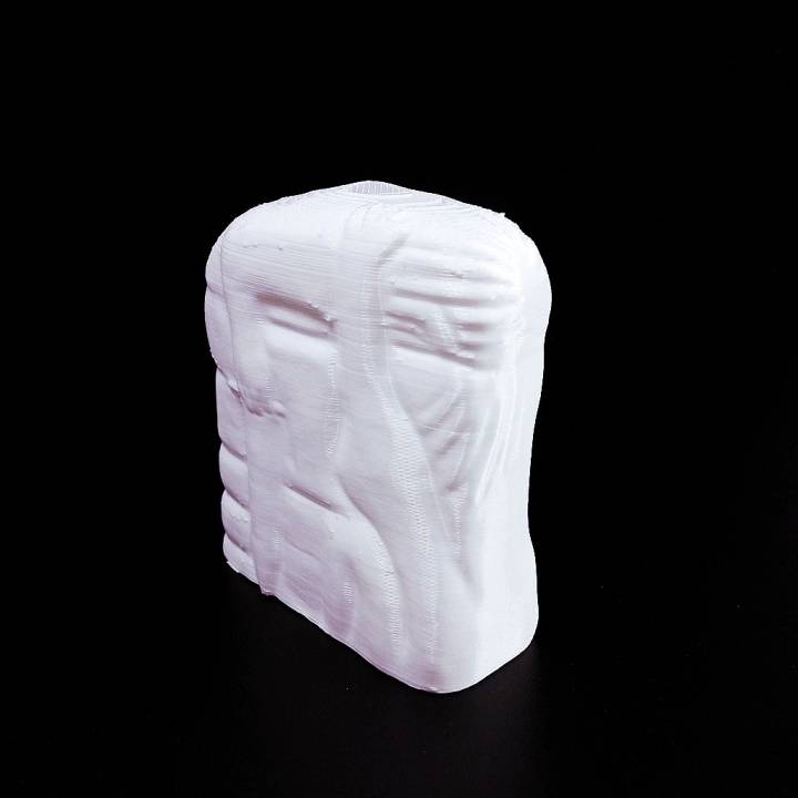 3D Printable The Farewell by Scan The World