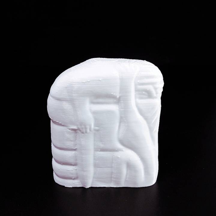 3D Printable The Farewell by Scan The World