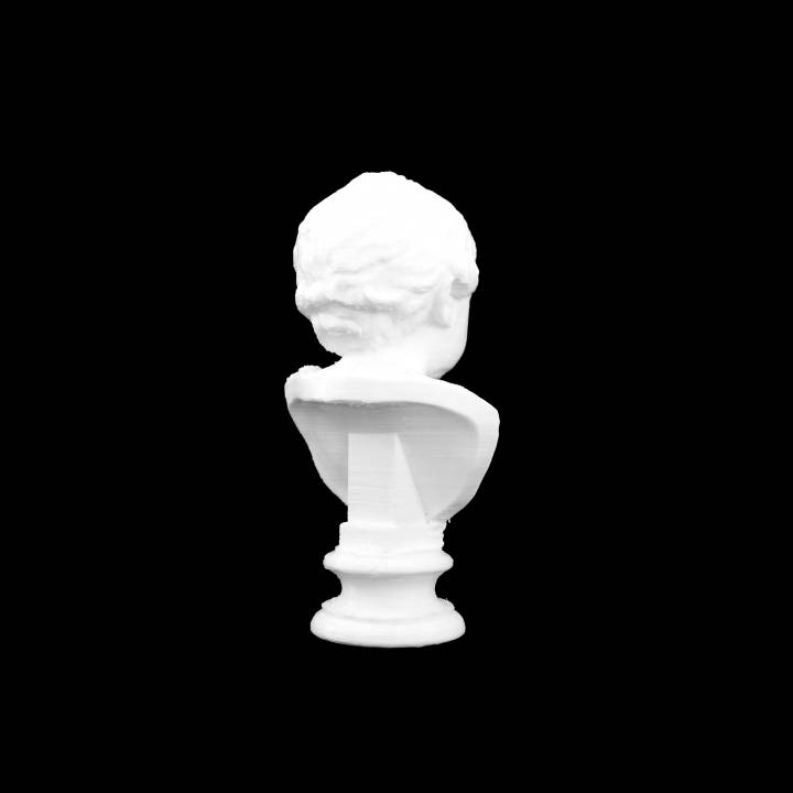 3D Printable Bust of a Boy by Christian Levett and The Mougins Museum