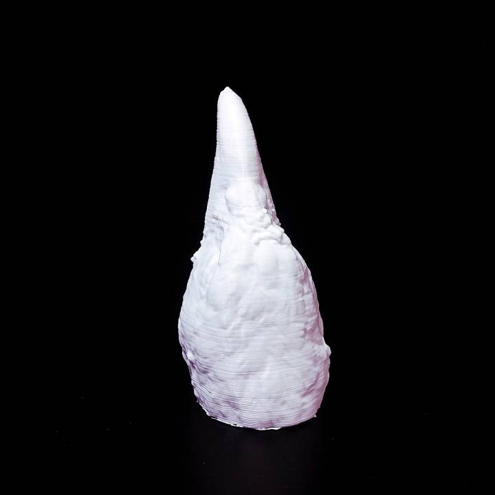 3D Printable Long-billed partridge head by Natural History Museum