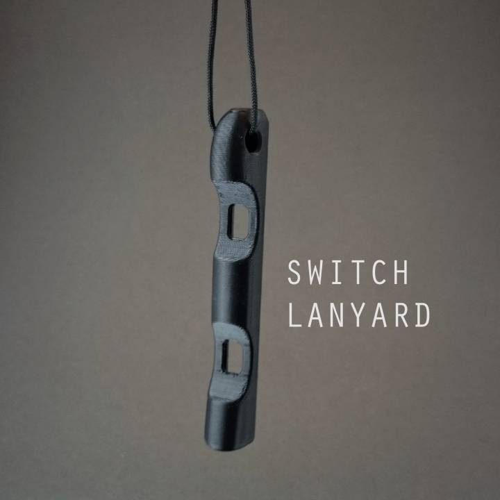 3D Printable Switch Controller Accessory by Martin Moore