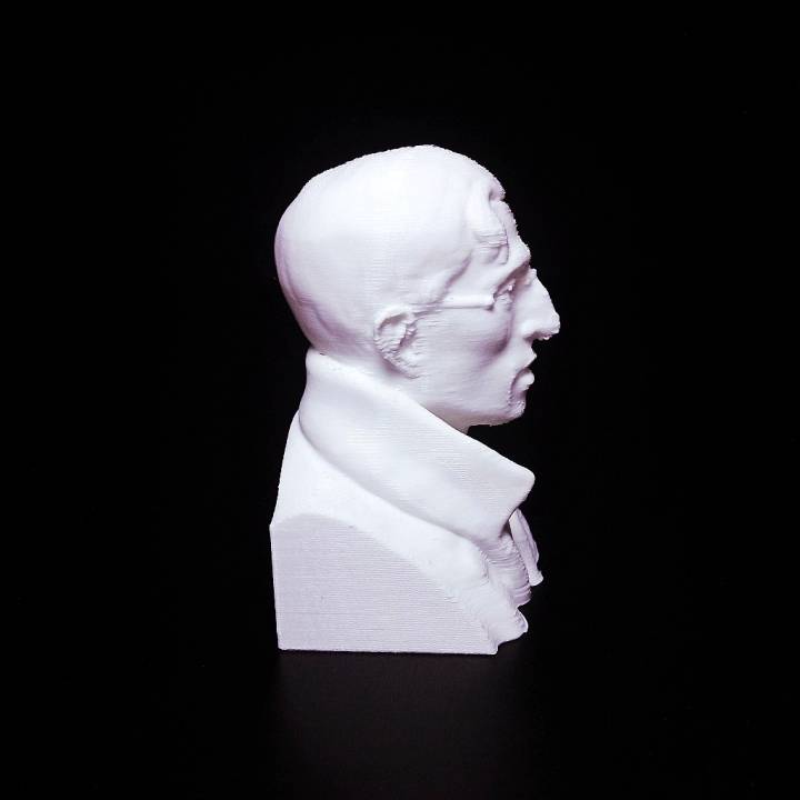 3D Printable V. Volodarsky by Scan The World