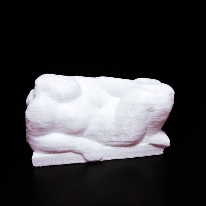 3D Printable Woman by Scan The World