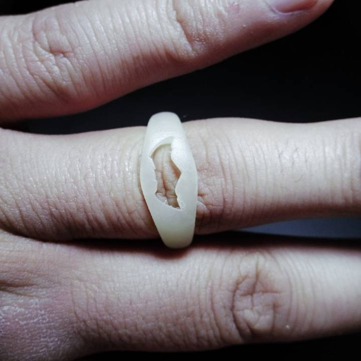 3D Printable Batman vs Superman ring by Grandon Wickard