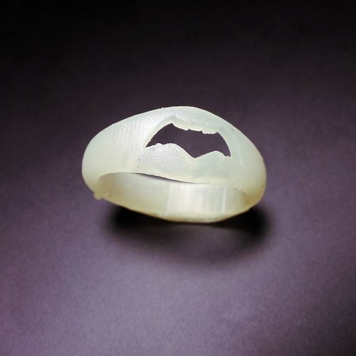 3D Printable Batman vs Superman ring by Grandon Wickard
