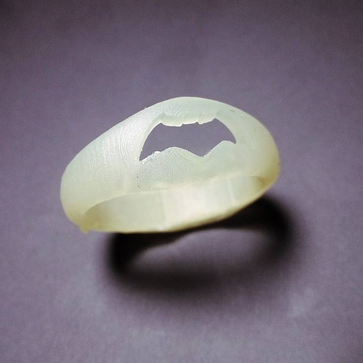 3D Printable Batman vs Superman ring by Grandon Wickard