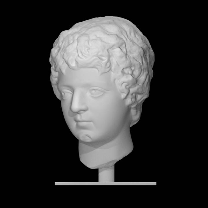 3D Printable A Roman marble portrait head of the Emperor Caracalla by ...