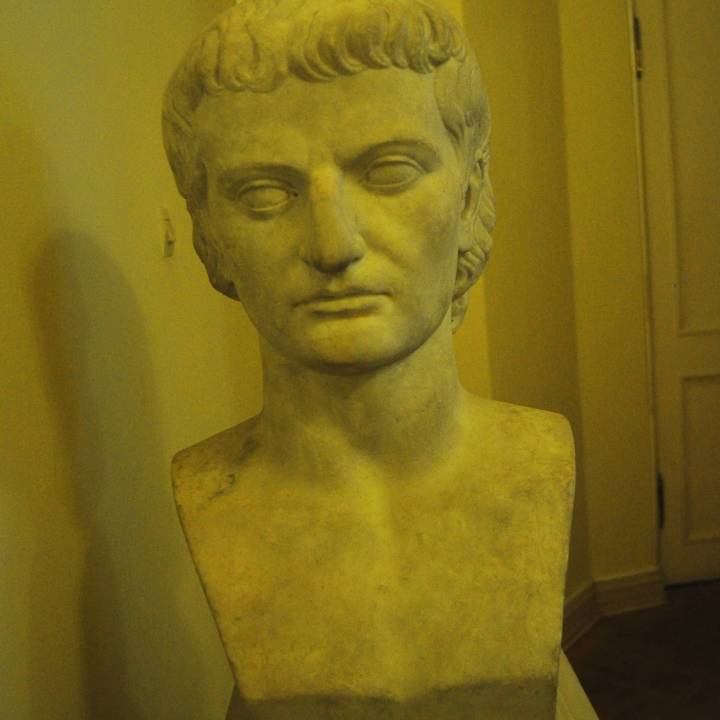 3D Printable Bust of Two-Faced Janus by Scan The World