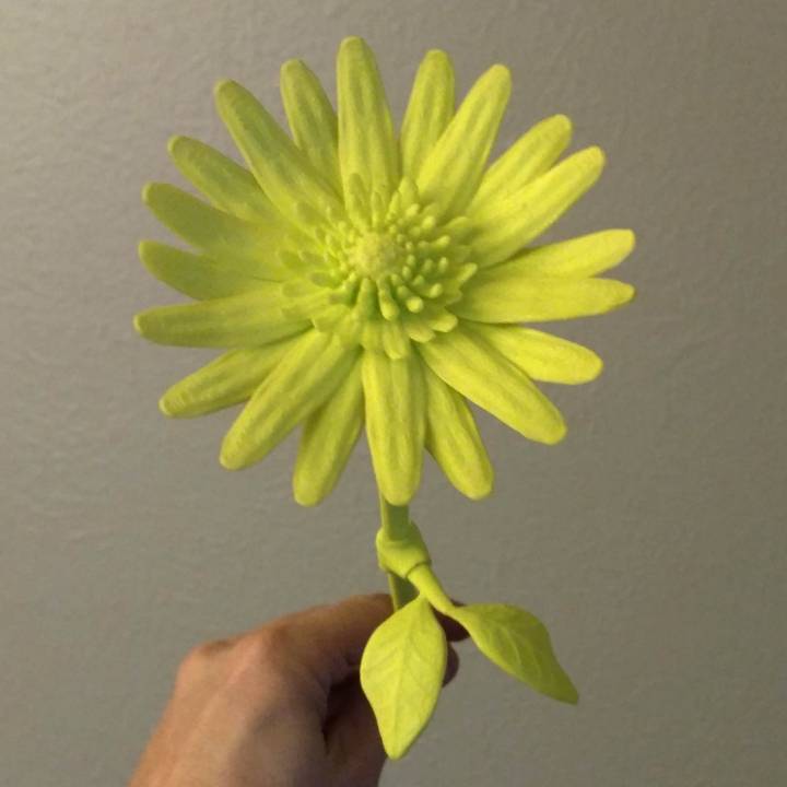 3D Printable Daisy - Flat flower by cmag