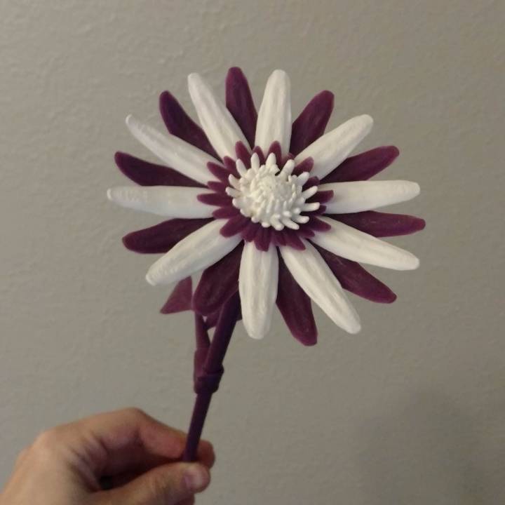 3D Printable Daisy - Flat flower by cmag