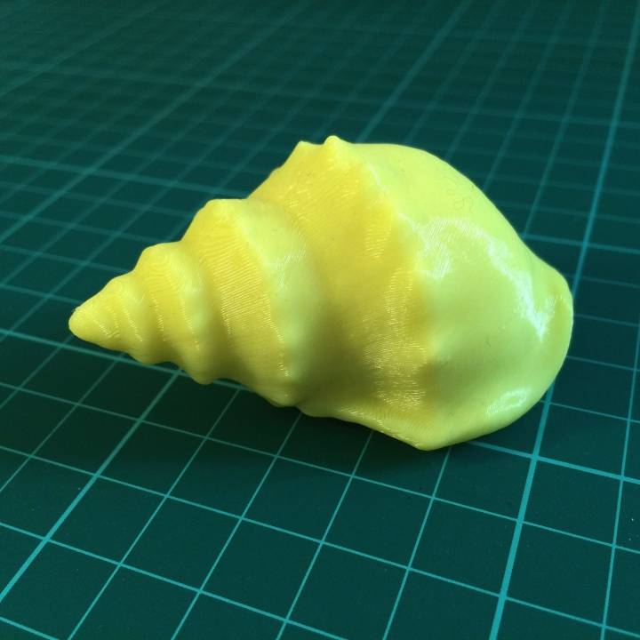 3D Printable Sea Shell (from Digitizer Scan) by Muzz64