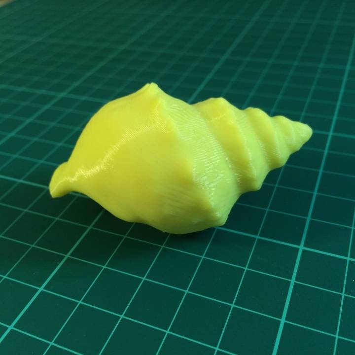 3D Printable Sea Shell (from Digitizer Scan) by Muzz64