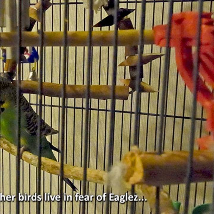 3D Printable Eaglez... With Moving Beaks That BITE! (No Support ...