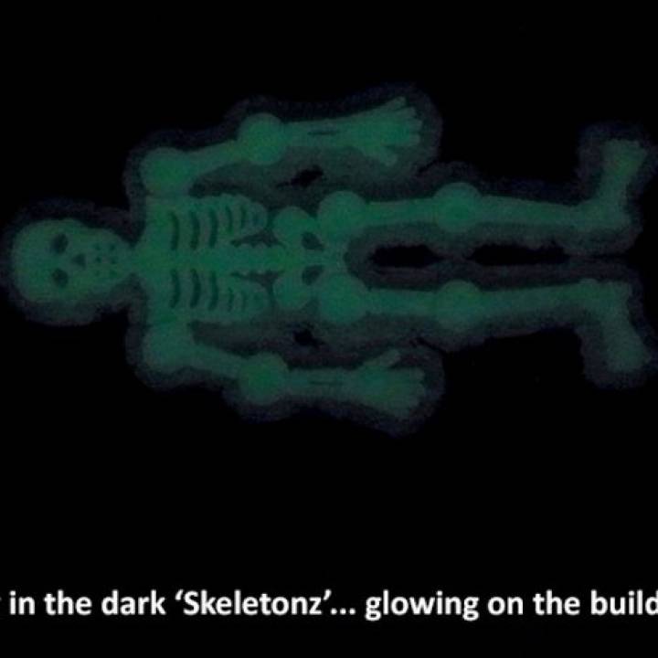 3D Printable 'Skeletonz' by Muzz64