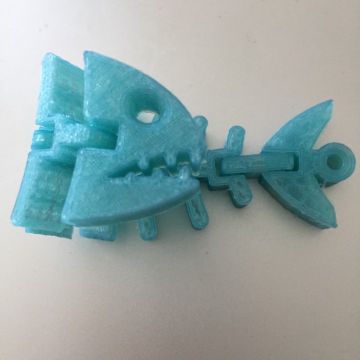 3D Print of Fish Fossilz by tigger1984