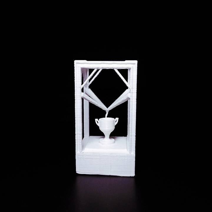 3D Printable 3D Trophy Trophy by TJ