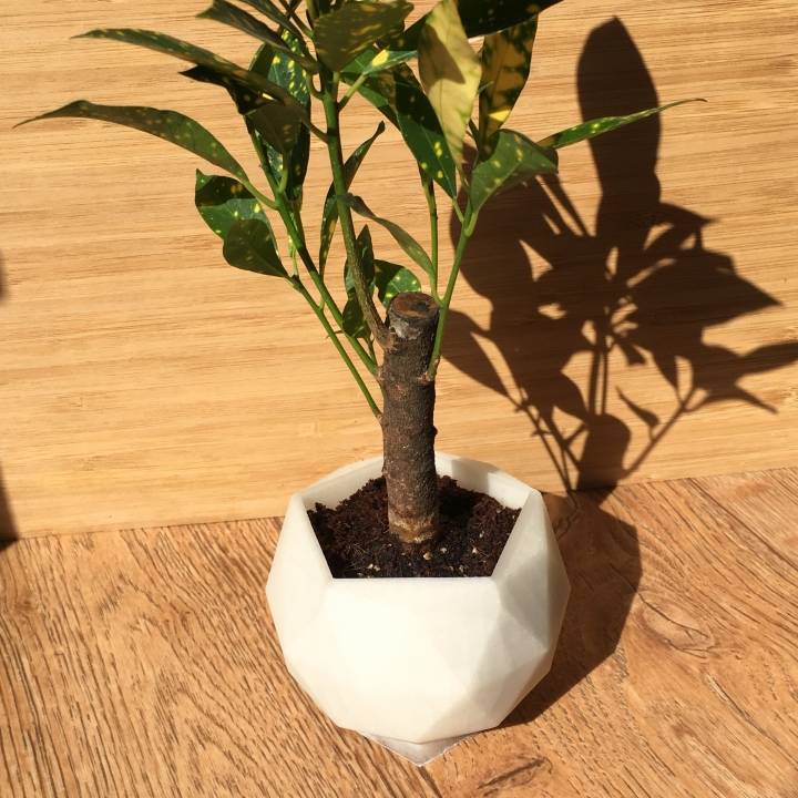 3D Printable flower pot Hexagon by Youb 3D