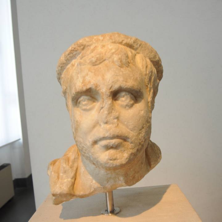 3D Printable Head of Balbinus by Scan The World