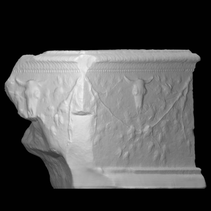 3D Printable Base with plane-tree branches and bucrania by Scan The World