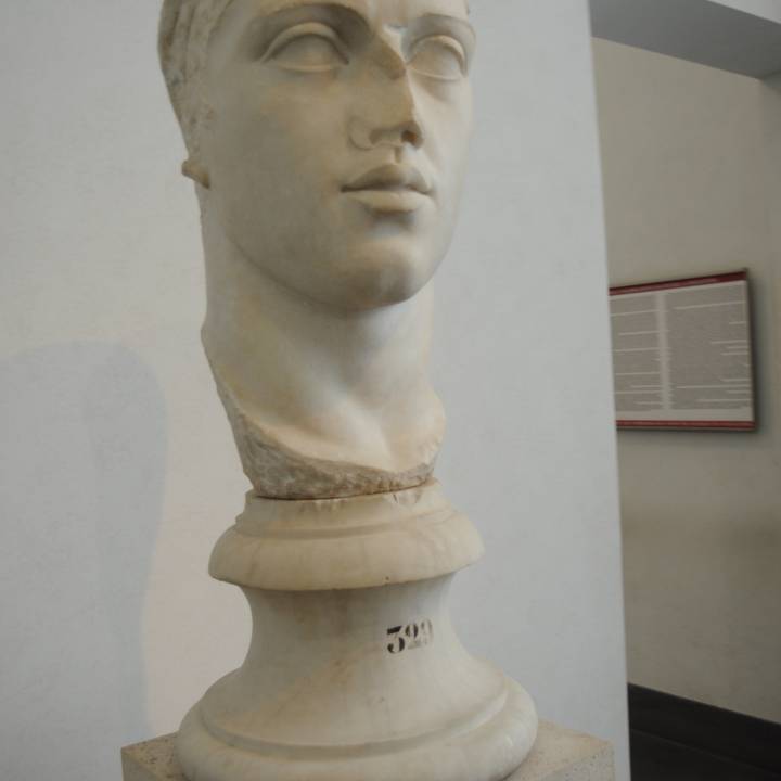 3D Printable Portrait of Severus Alexander by Scan The World