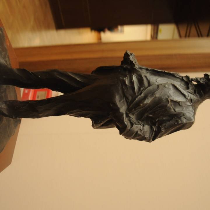 3D Printable Portrait of Anatole France by Scan The World