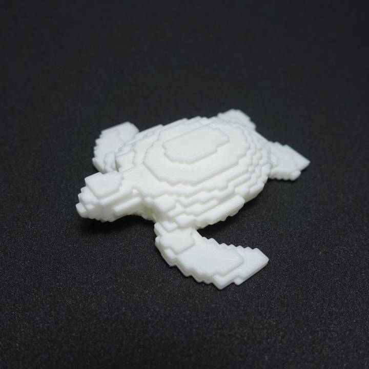 3D Printable Voxel Turtle by Jaeman Park