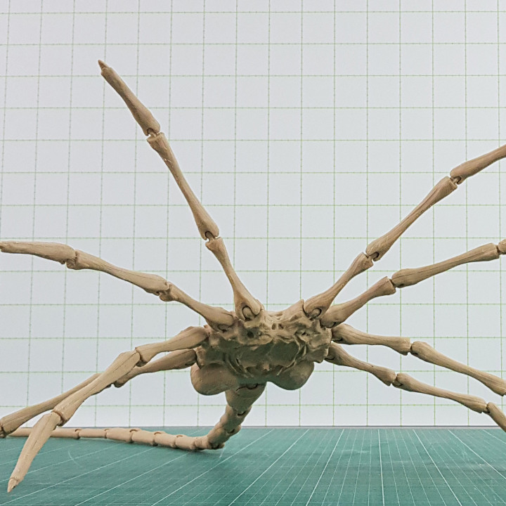3D Print of Agisis Ultimate Alien Face Hugger (40in x 23in - LIFE SIZE ...