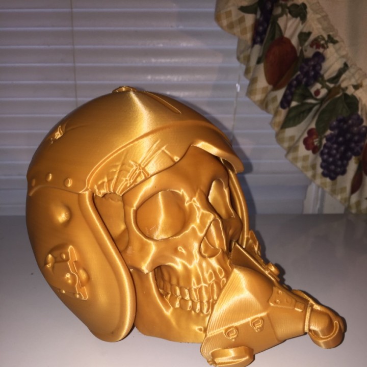 3D Print of "Maverick" Pilot Skull by MikeKirkman