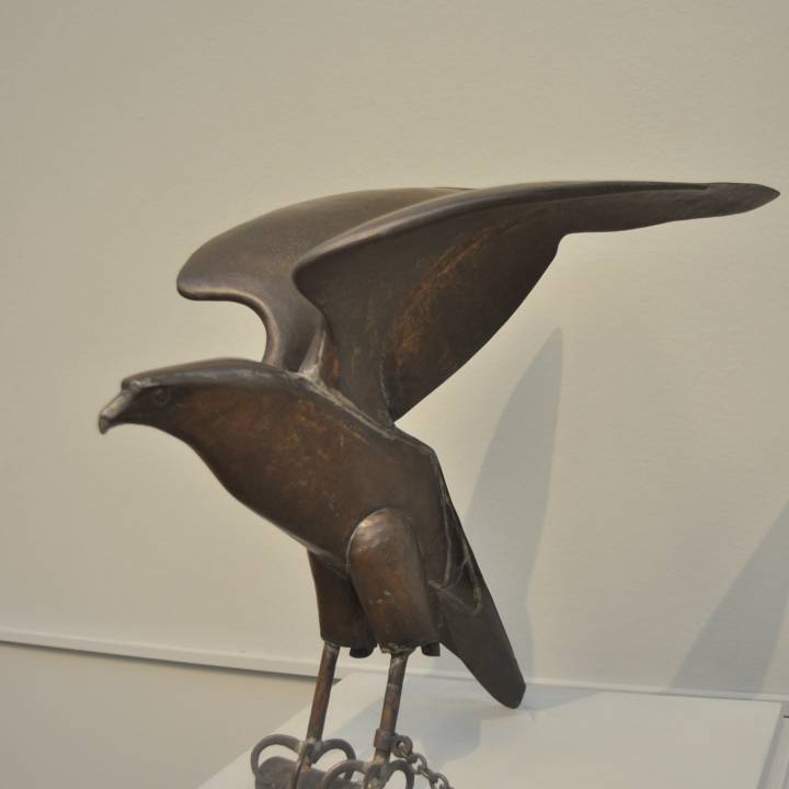 Descargar Fettered Falcon de Scan The World