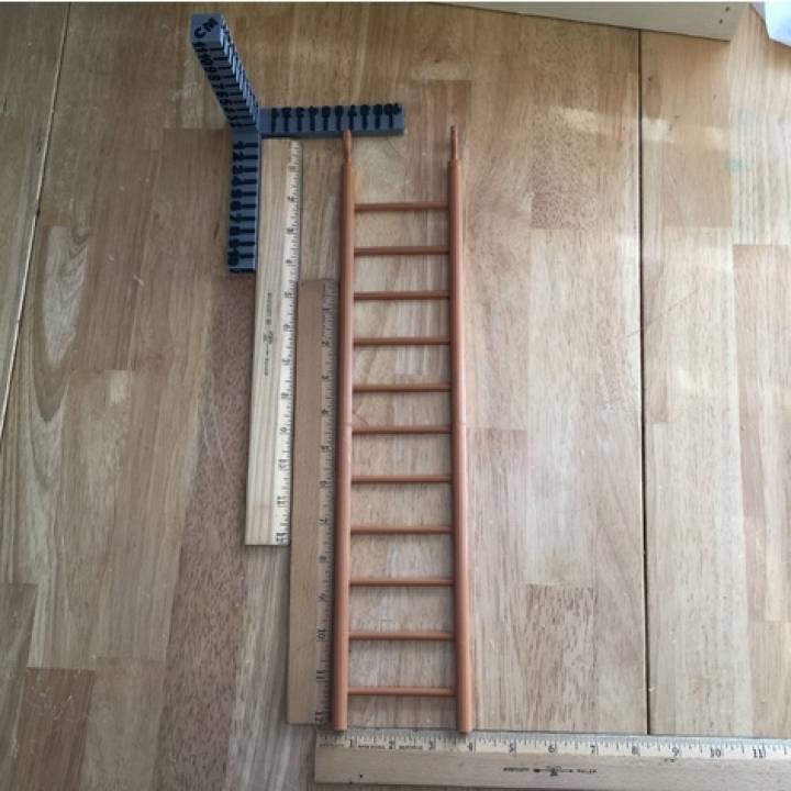 3D Printable Cage Ladder by Star Labs 3D, LLC