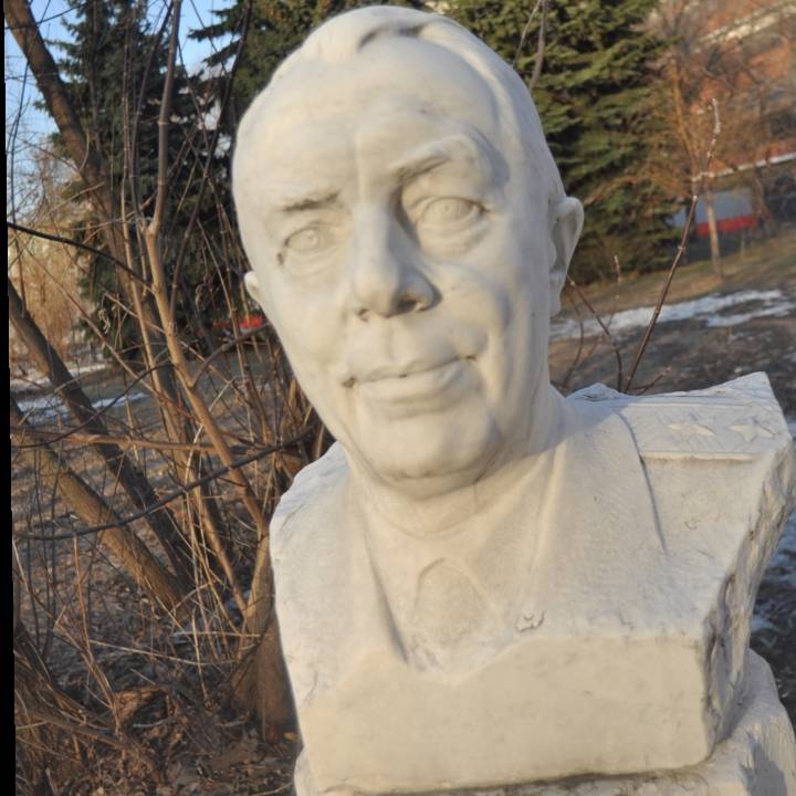 3D Printable Portrait of Test-Pilot by Scan The World