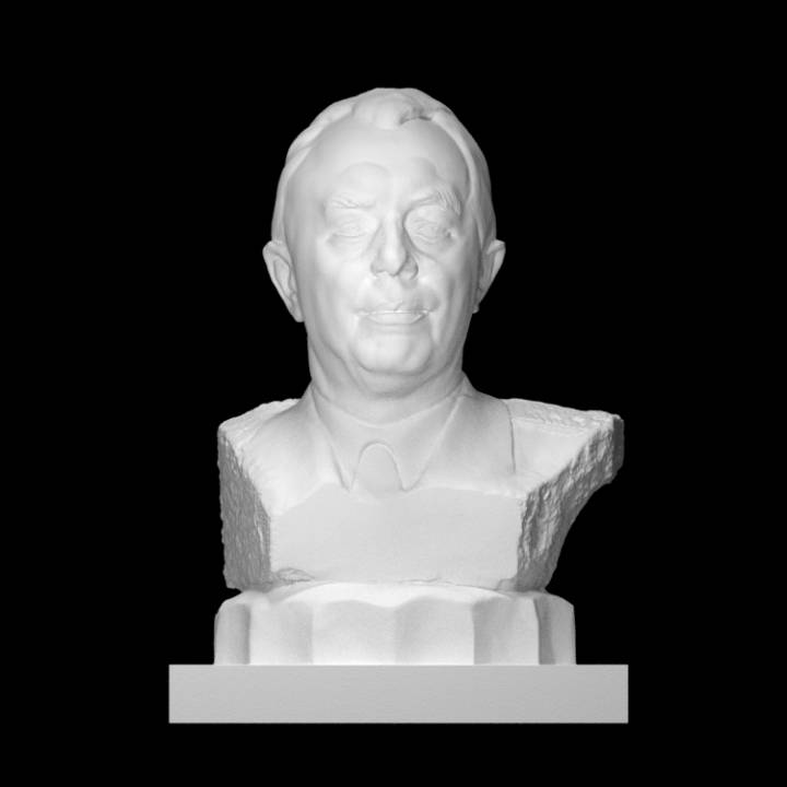 3D Printable Portrait of Test-Pilot by Scan The World