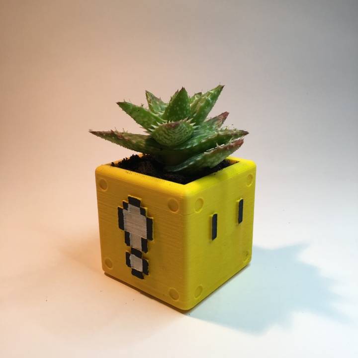 3D Printable Mario Block Planter by Fotis Mint Studios