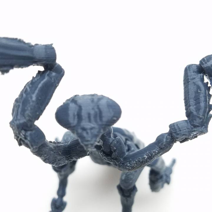 3D Printable Fully Articulated Praying Mantis Toy by Michael Schneider