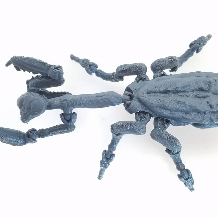 3D Printable Fully Articulated Praying Mantis Toy by Michael Schneider
