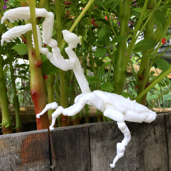 3D Print of Fully Articulated Praying Mantis Toy by 8ran