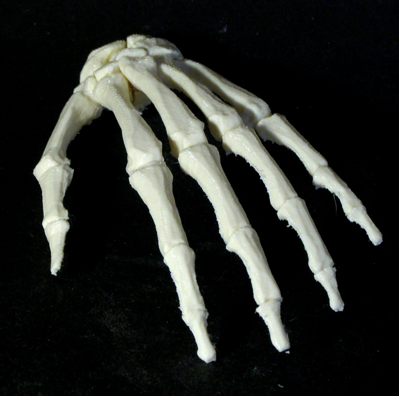 3D Printable Bone - Hand - Left by Dario Baldi
