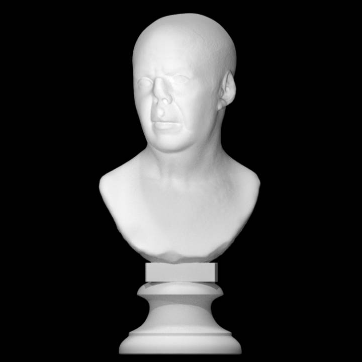 3D Printable Male portrait by Scan The World