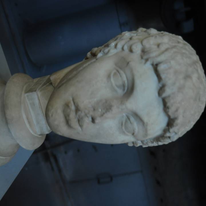 3D Printable Head of Harmodius by Scan The World