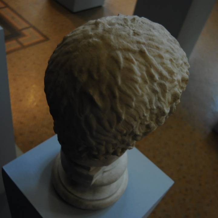3D Printable Head of Harmodius by Scan The World