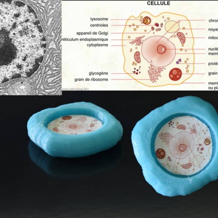3D Printable chemistry and biology kit by Johan Link