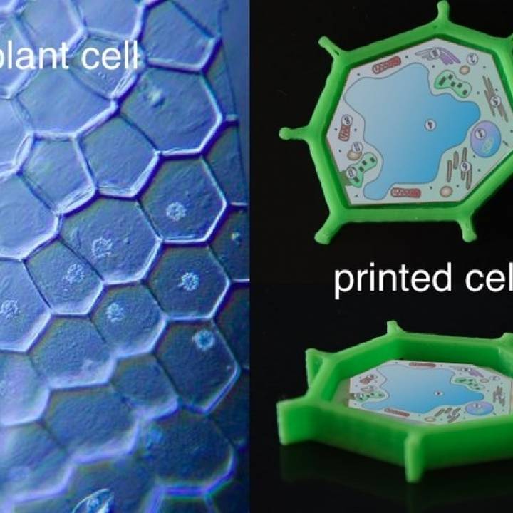 3D Printable chemistry and biology kit by Johan Link