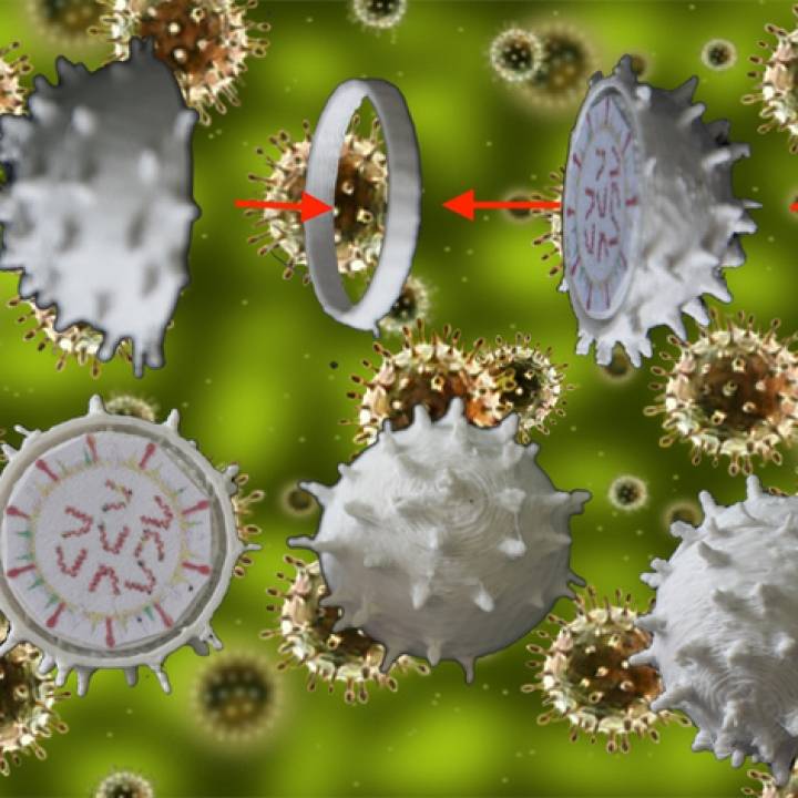 3D Printable chemistry and biology kit by Johan Link