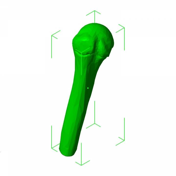3D Printable Humerus Bone -Right Human Upper Arm by Guy McCann